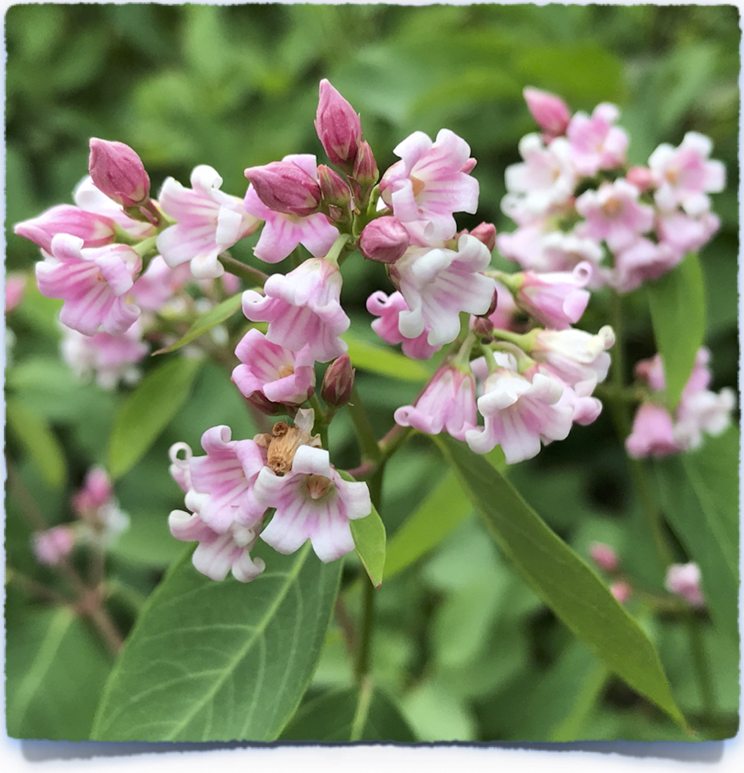 Kris Kramer Coach – My WordPress KKC