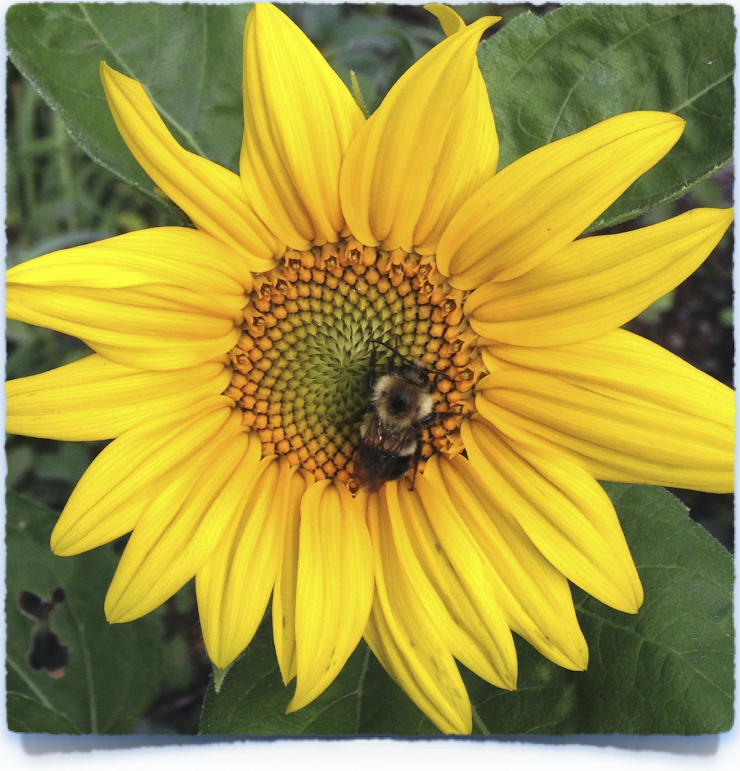 Kris Kramer Coach – My WordPress KKC